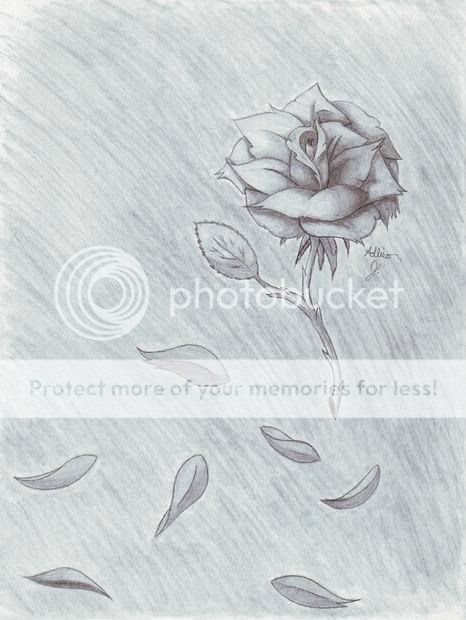 Falling Rose Petals Photo by elevarta | Photobucket